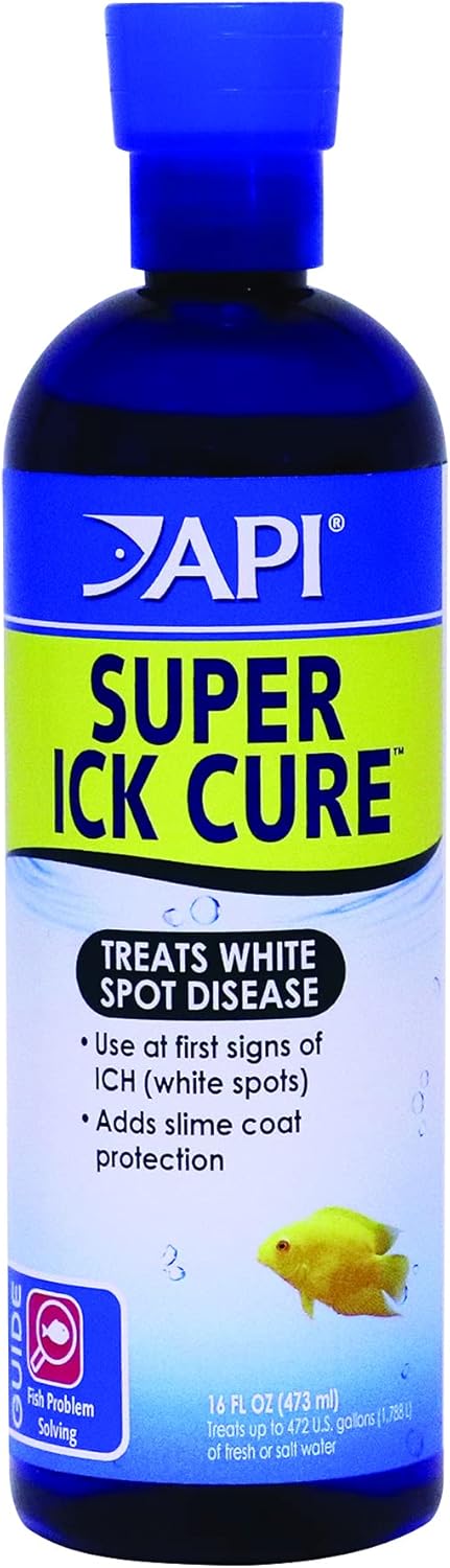 Ultimate Guide to Treating and Preventing Ich in Your Aquarium – the ...