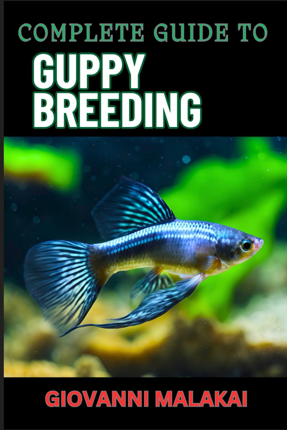 The Ultimate Guide to Breeding Guppies: Everything You Need to Know ...