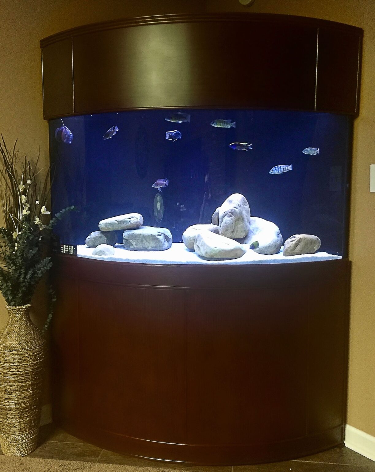 Corner Fish Tanks: Maximizing Space and Style – the Fish Tank Corner