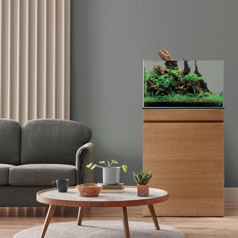 Rimless Aquariums: The Allure and Challenges – the Fish Tank Corner