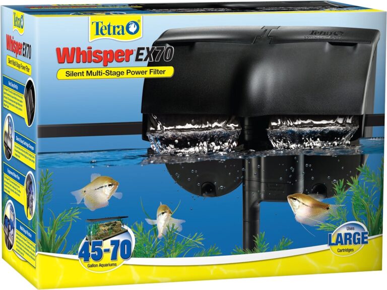 Corner Fish Tanks: Maximizing Space and Style – the Fish Tank Corner