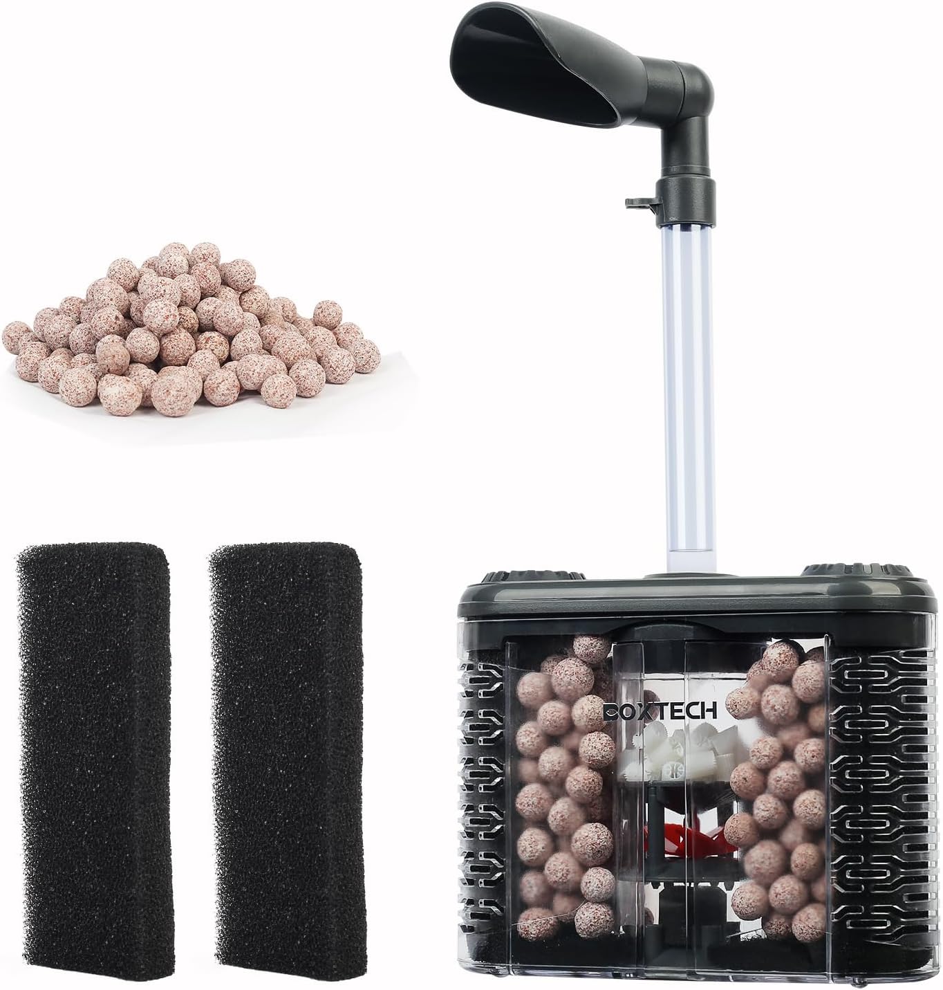 How to Breed Angelfish in Captivity: A Complete Guide for Beginners ...