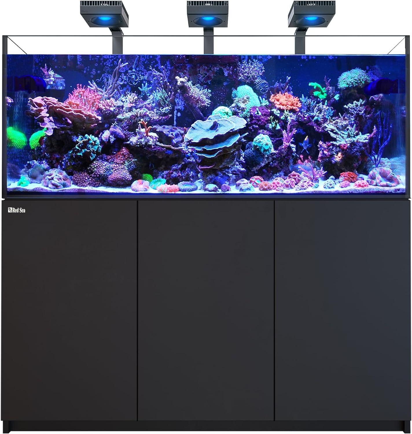Best High-End Aquarium Lights for Vibrant Tanks (2025) – the Fish Tank Corner