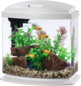 Best Fish Tank and Stand Combos 2025 – the Fish Tank Corner