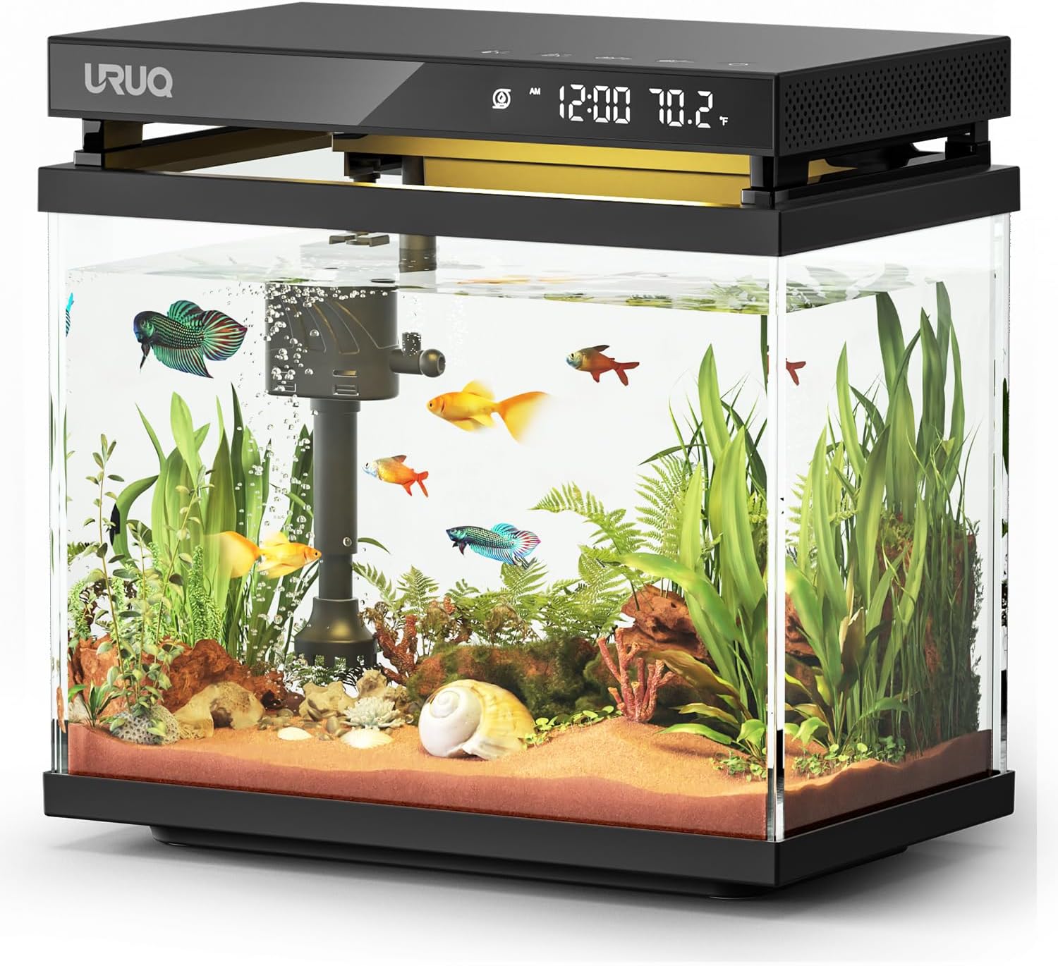 Why AI Aquariums Are Making Waves in 2025 – the Fish Tank Corner