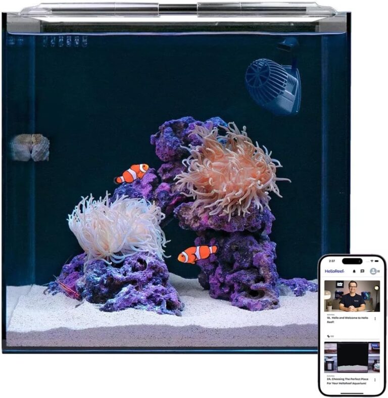 Why AI Aquariums Are Making Waves in 2025 – the Fish Tank Corner