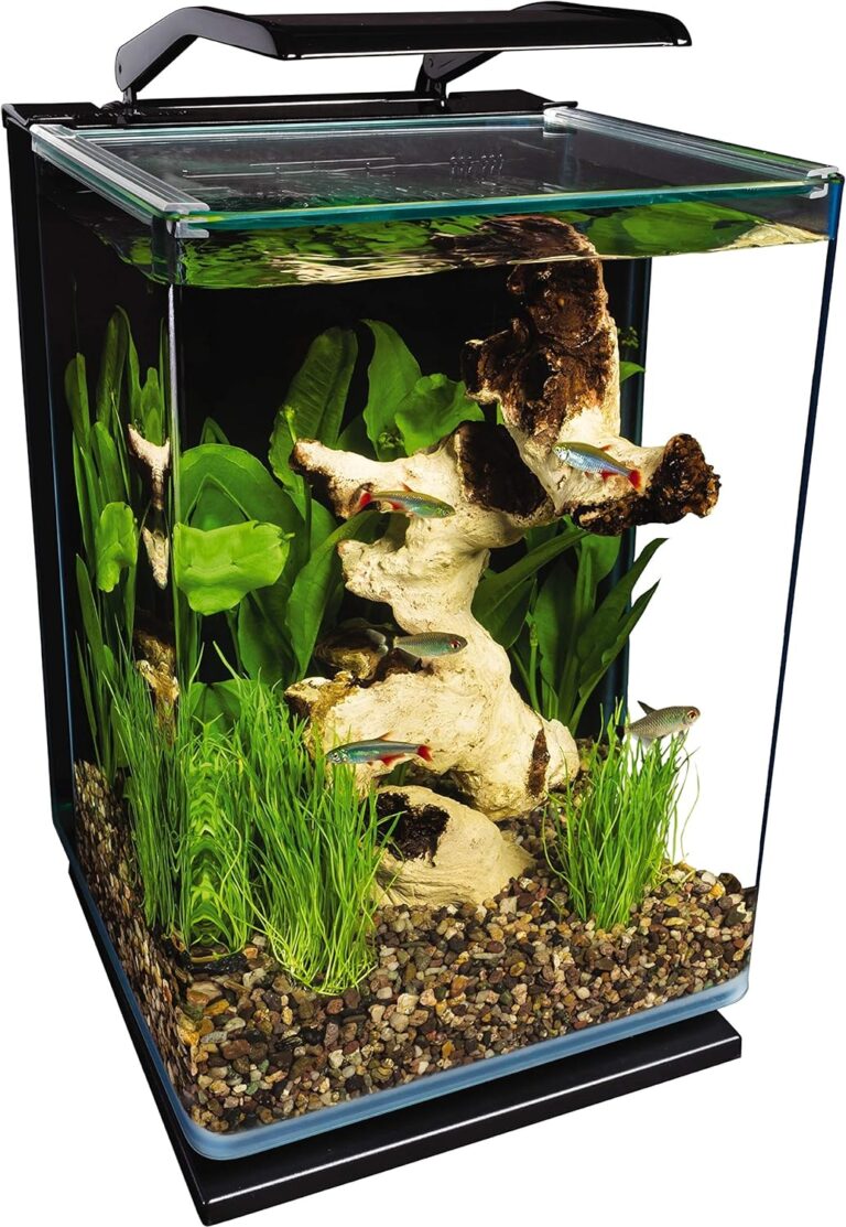 Best Fish Tank and Stand Combos 2025 – the Fish Tank Corner